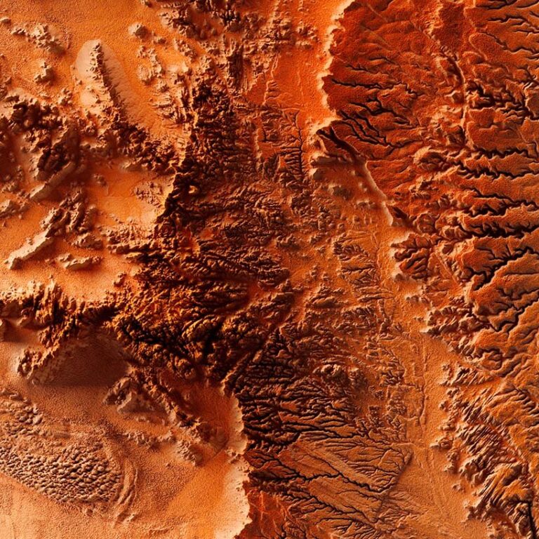 VizArt Studio: A Collaboration Of Discovery And Imagination In Data ...