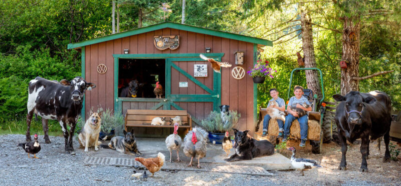 Capturing Life On The Farm: The Inspiring Work Of Tasha Hall | FREEYORK