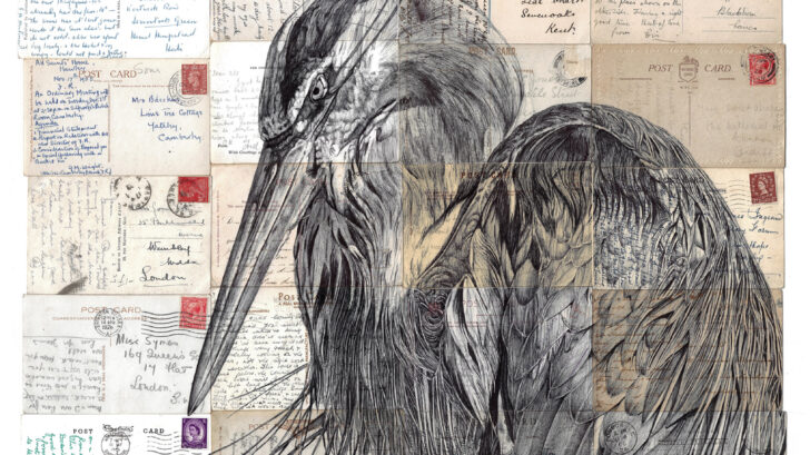 Artist Scott Moore - FreeYork