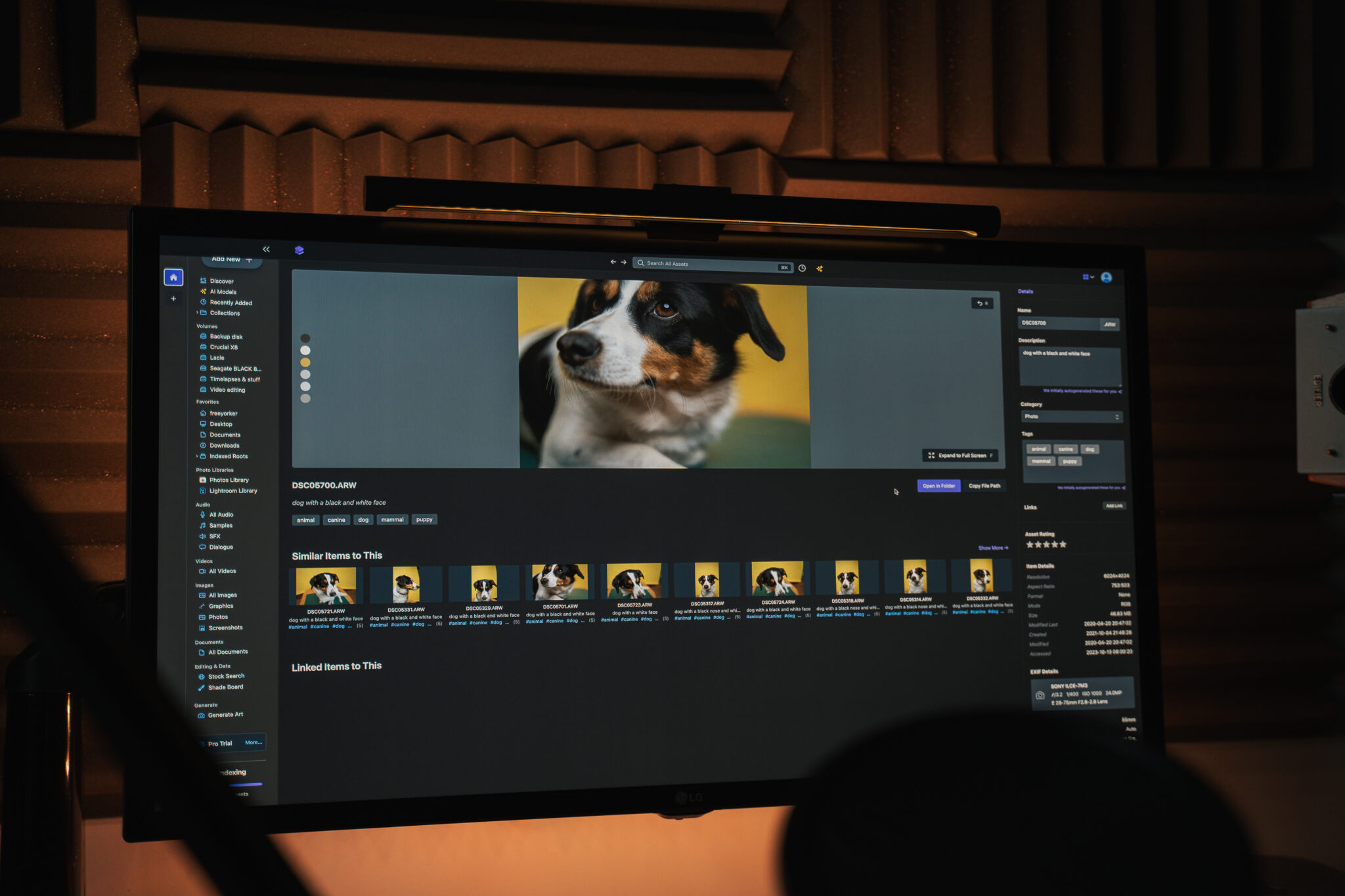 Essential Filmmaking Tools For 2023: Top Picks For Creative Pros | FREEYORK
