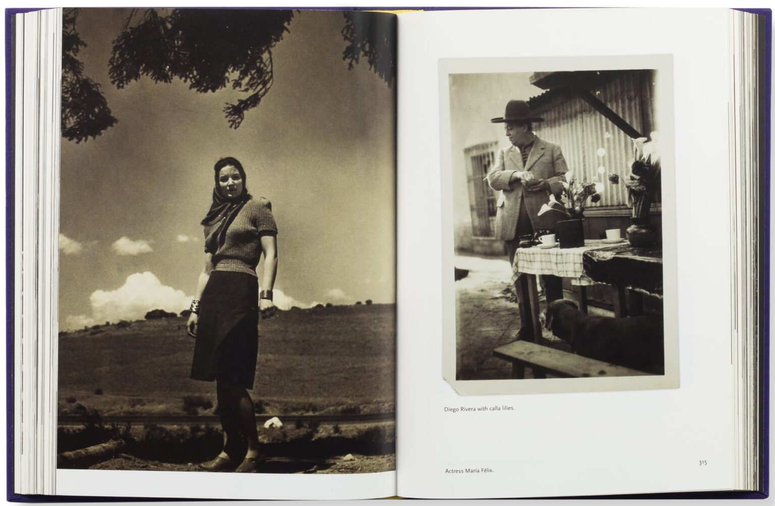 Behind The Lens Of Frida Kahlo – Discovering The Artist's Photographic ...