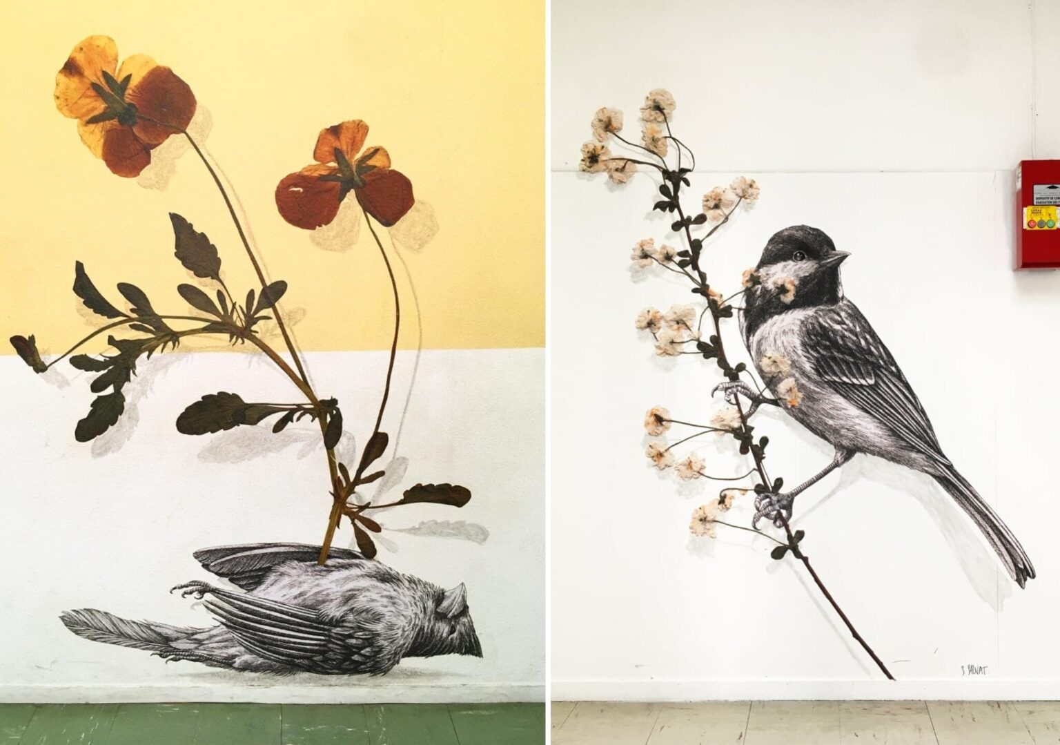 Steeven Salvat's Petite Nature: Bridging Art And Ecology In Urban ...