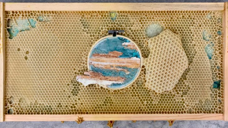 FREEYORK | Create, Discover, Connect